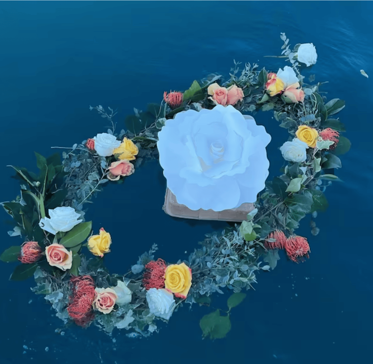 How to Scatter or do Burial Ashes at Sea - Carewell Cremations