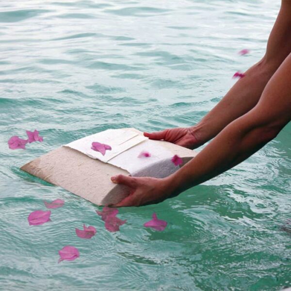 How to Scatter or do Burial Ashes at Sea - Carewell Cremations