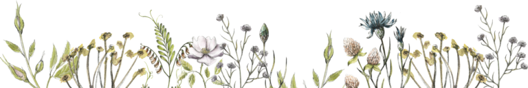 Why do Pacemakers Need to Be Removed Before Cremation? - Carewell ...